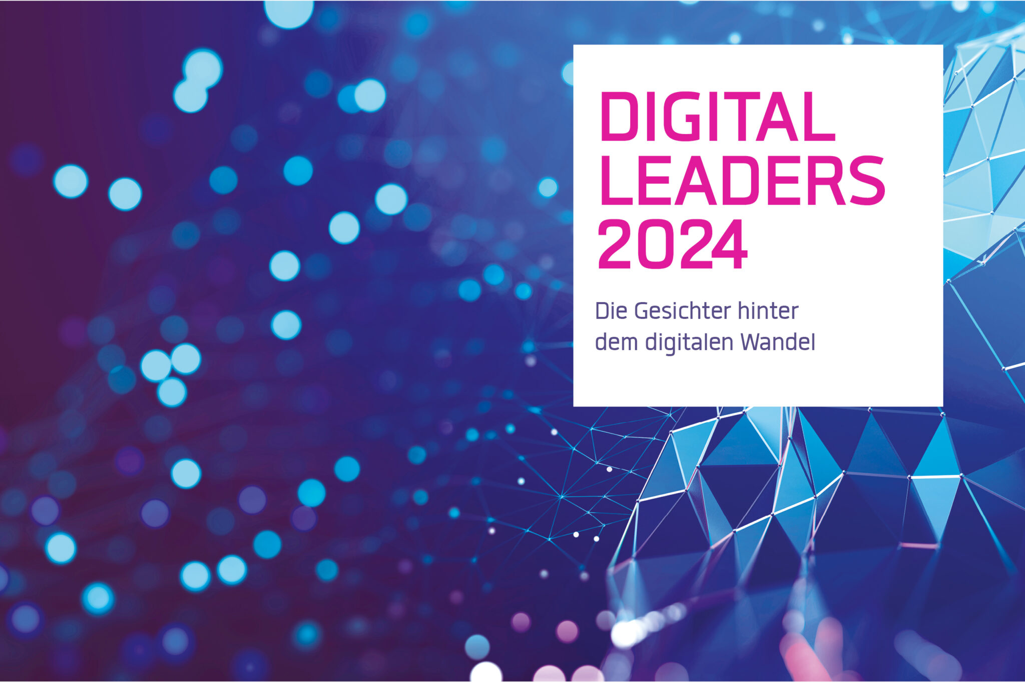 Plattform für digitale Innovation und Vernetzung für Liechtenstein | Digital Liechtenstein